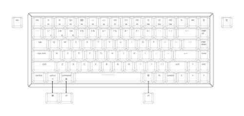 Keychron K2 (Hot-swappable) Wireless Mechanical Keyboard (Version-2 ...